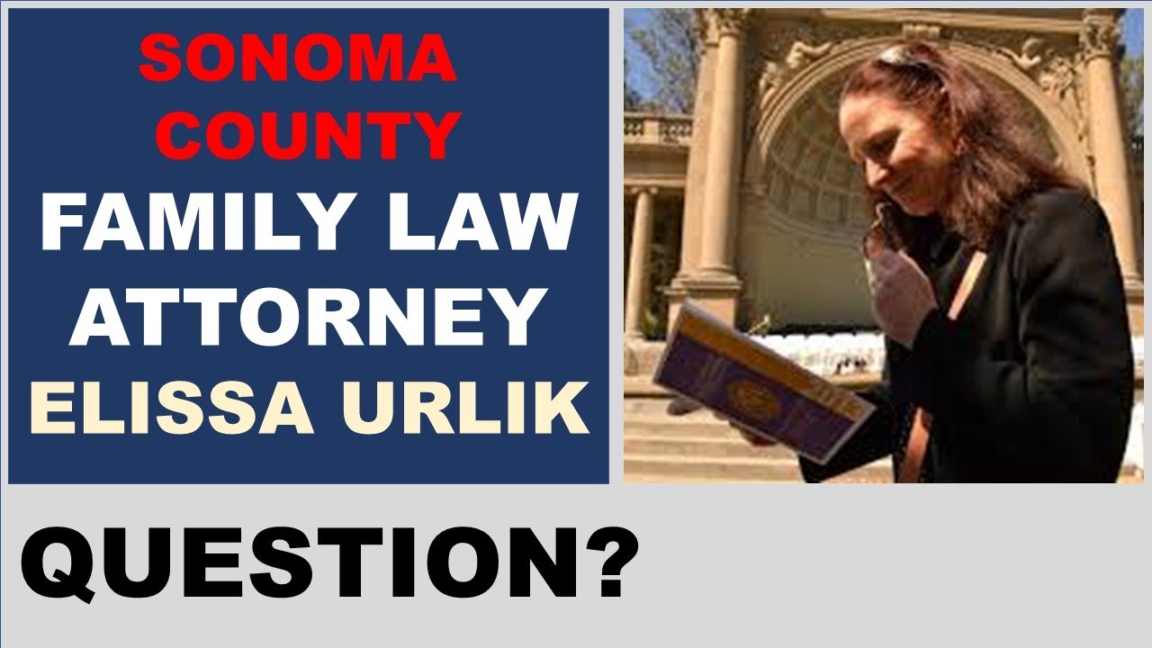 Family Law Attorney Elissa Urlik - YouTube