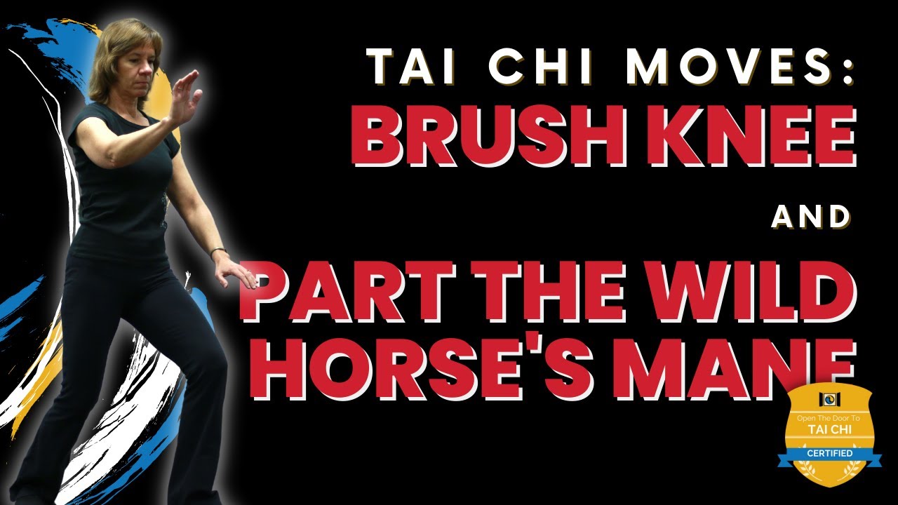 Tai Chi Moves: Brush Knee and Part the Wild Horse's Mane - YouTube