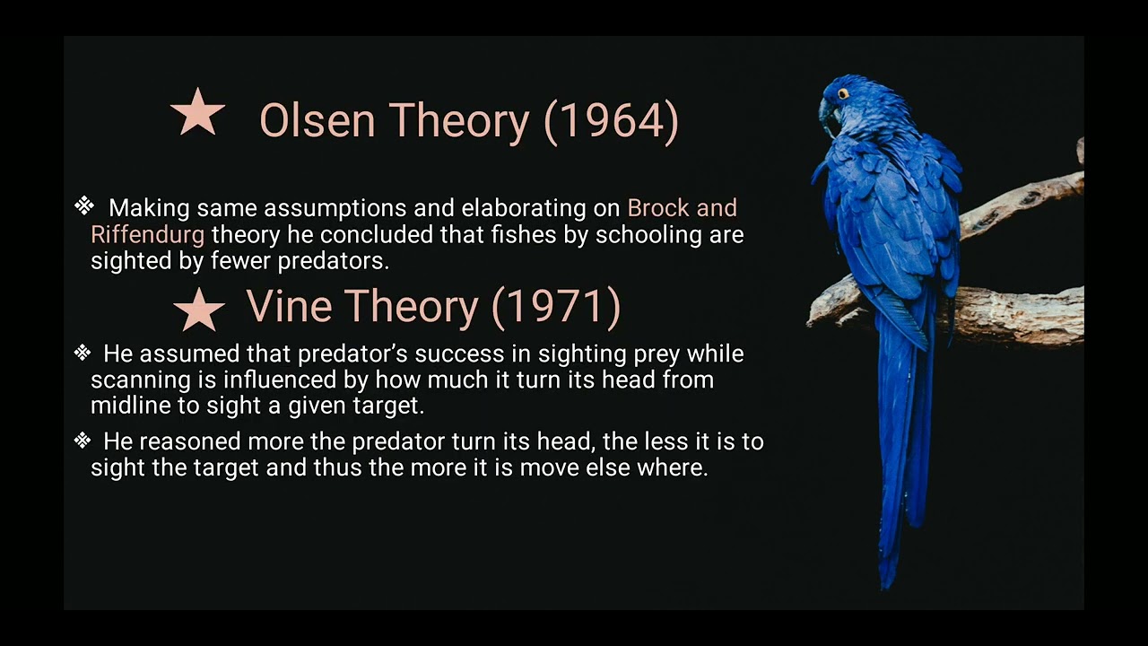 Animal Behaviour (Aggregation)M.Sc.Zoology - YouTube