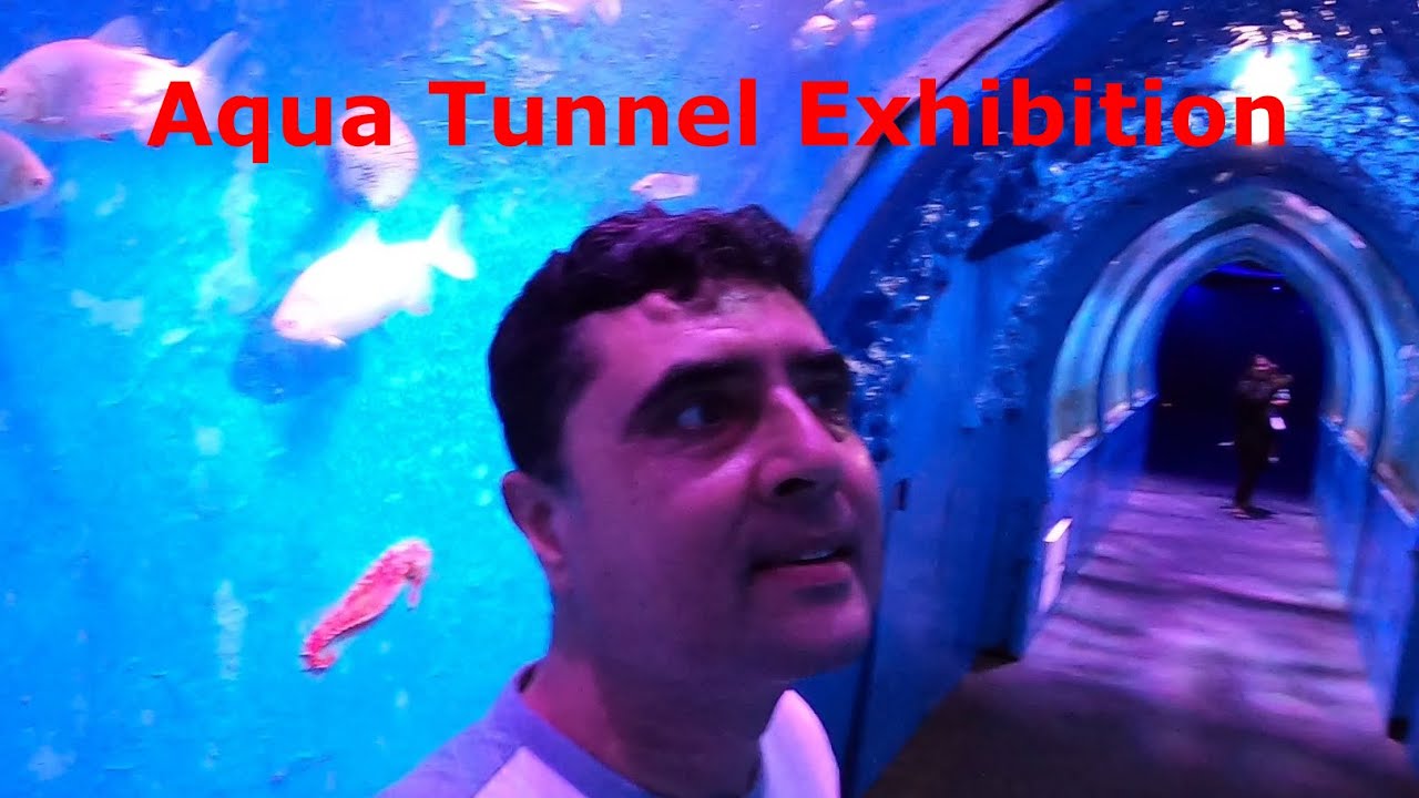 First time in Banglore - Underwater Aqua Tunnel Aquarium Exhibition ...