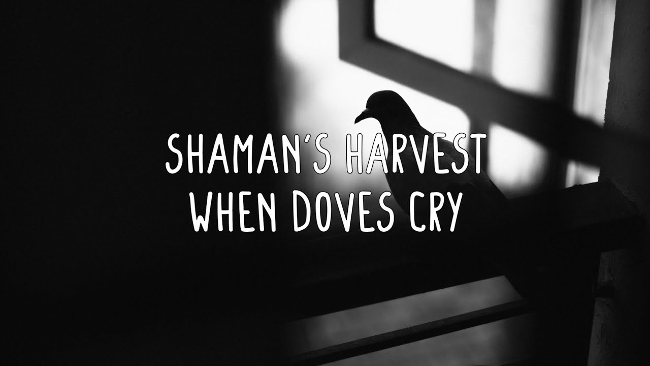 Prince (Cover by Shaman's Harvest) - When Doves Cry (Lyrics) - YouTube