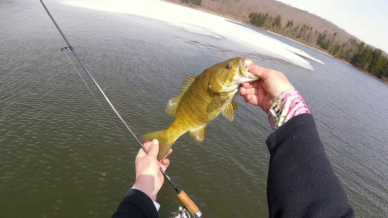 MULTIPLE SPECIES on the FREAKY WORM - YouTube