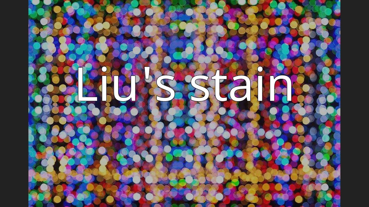 Liu's stain - YouTube