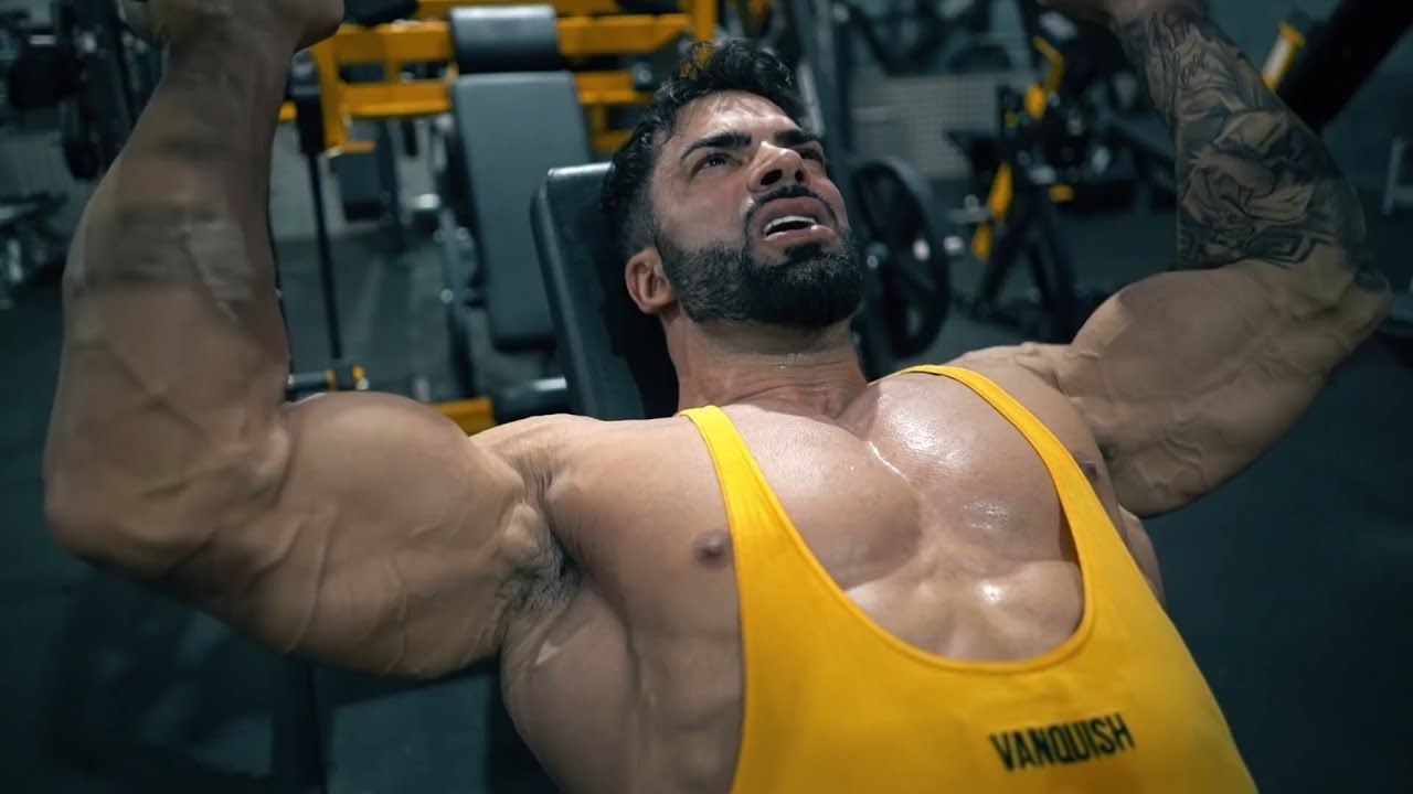Sergi Constance Shoulder Workout || Sergi Constance Motivation Video ...
