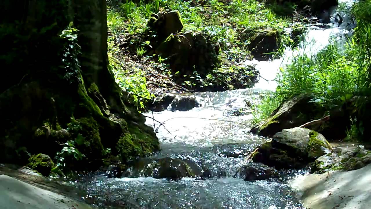 Water Stream In Valsecca (Bergamo - Lombardy - Italy) HD - YouTube