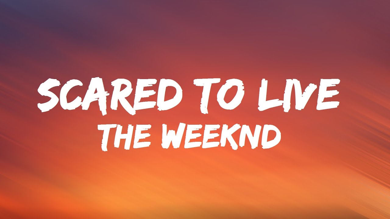The Weeknd - Scared to Live (lyrics) - YouTube