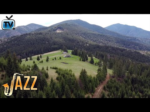Rahatlamak ve dinlendirici bir atmosferin arka planını yaratmak için caz salonu