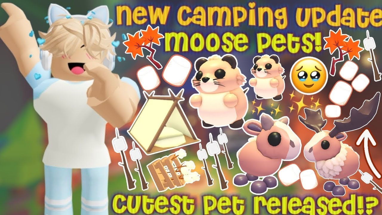 NEW MOOSE PETS AND MORE! 🫎 CAMPING REFRESH! *SO PREPPY* - YouTube