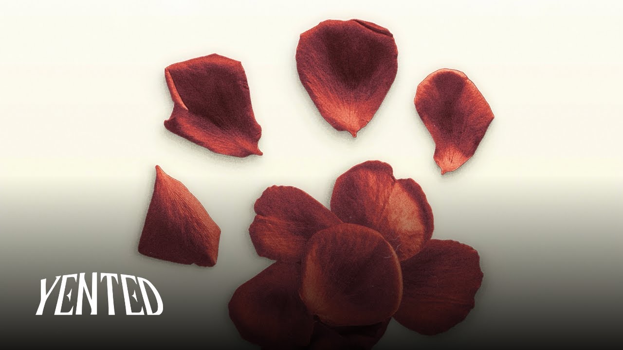 YENTED - URDAWG [OFFICIAL VISUALIZER] - YouTube