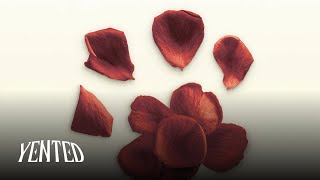 YENTED - URDAWG Chords - Chordify