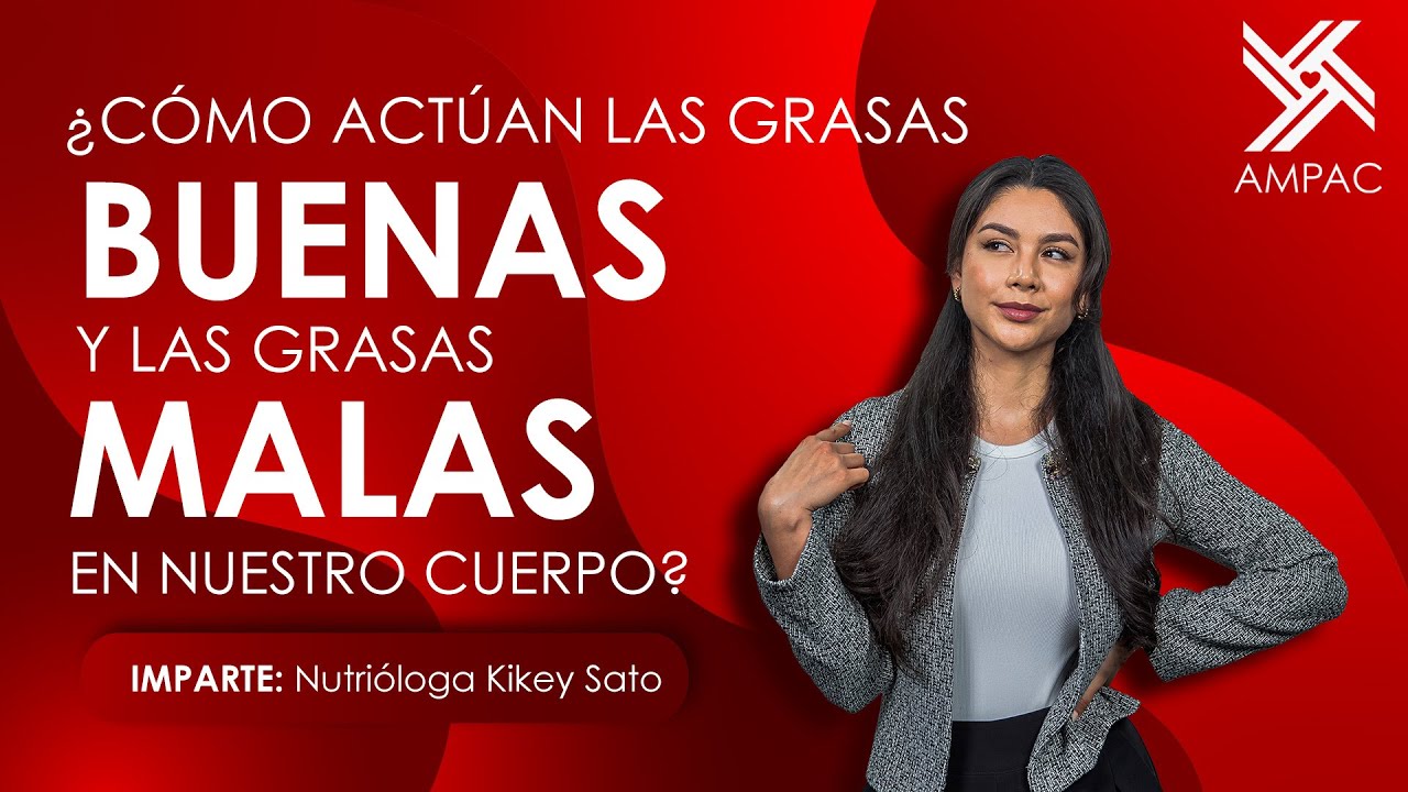 Grasas: ¿Cómo actúan las Grasas Buenas y las Malas en nuestro cuerpo? - YouTube