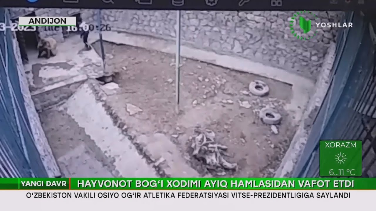Hayvonot bogʻi xodimi ayiq hamlasidan vafot etdi - YouTube