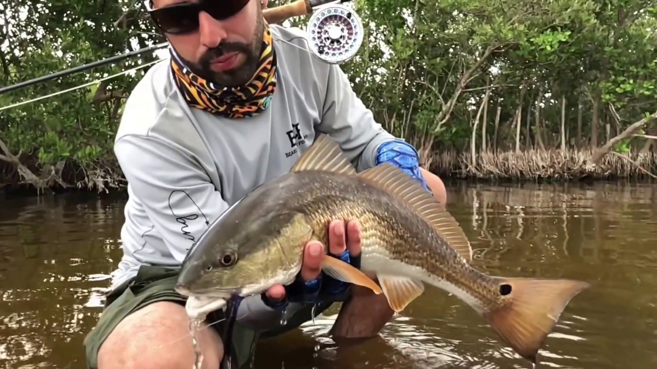 Redfish on the Fly: Cast, Catch and Release (short clip) - YouTube