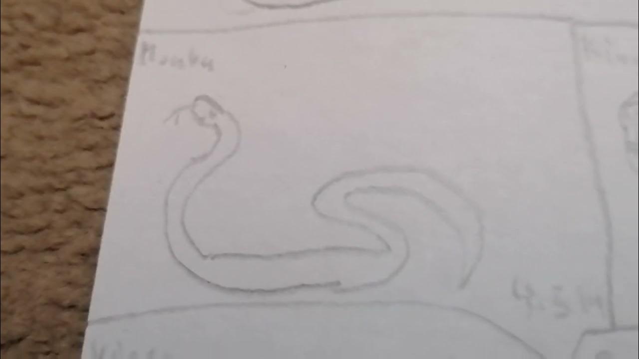 Snakes Size Comparison 2024 - YouTube