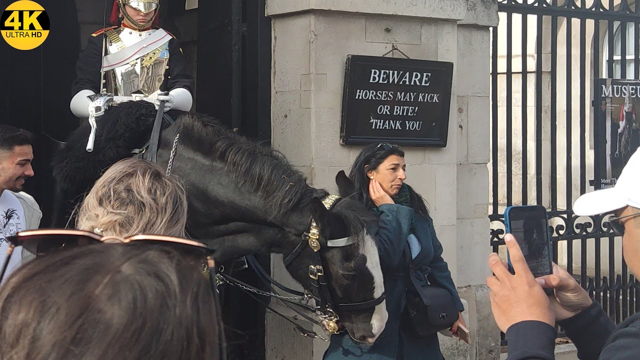 Horse Tries To Grab Woman - YouTube