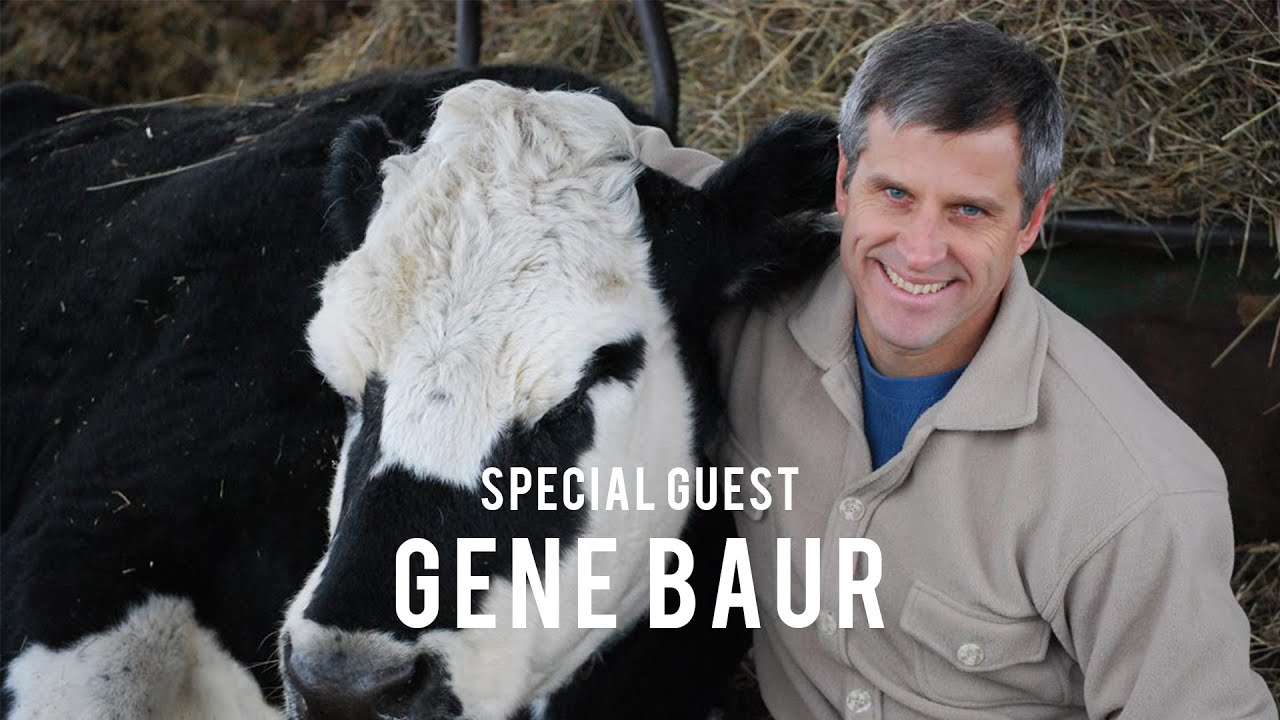 GENE BAUR : Animal Rights activist, Farm Sanctuary founder, Vegucated ...