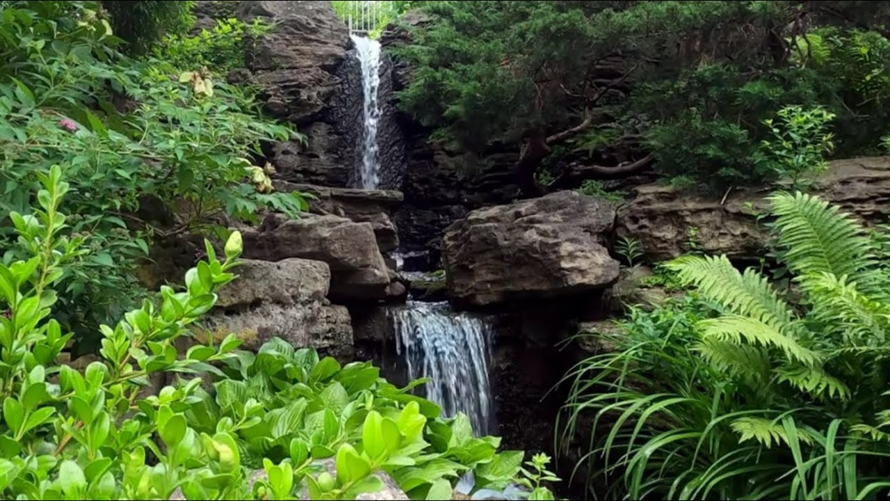 No Ads - 10 Hours of Uninterrupted Nature Therapy With Ambient Sounds ...