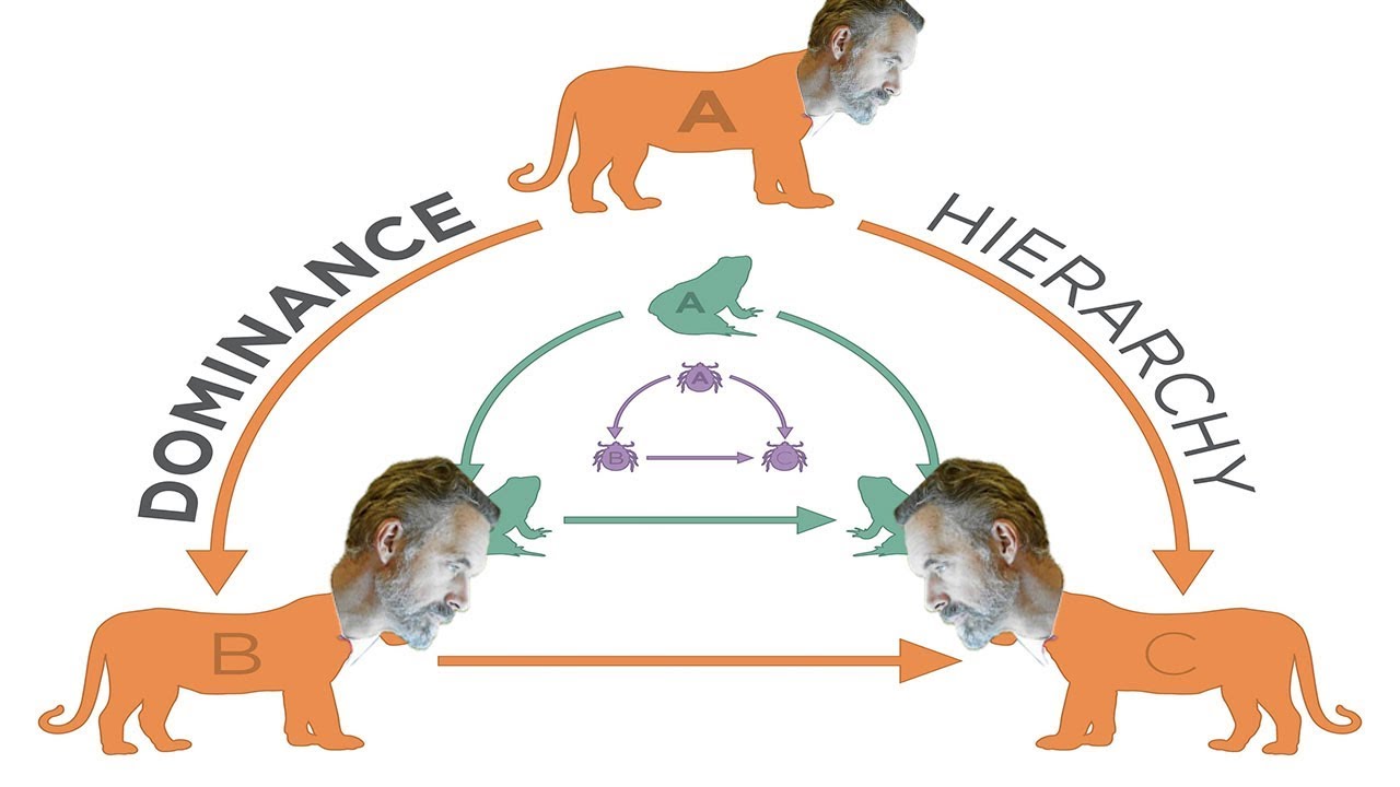 Where Are You in Dominance Hierarchy? - Jordan Peterson - YouTube