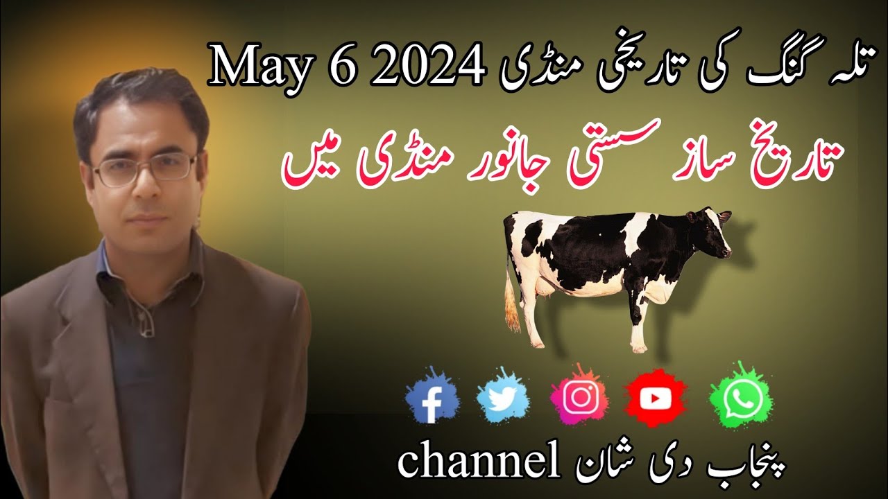 6 May 2024 Pakistan Famous Cheap Goat And Cow Mandi | Cheap Rate Mandi ...