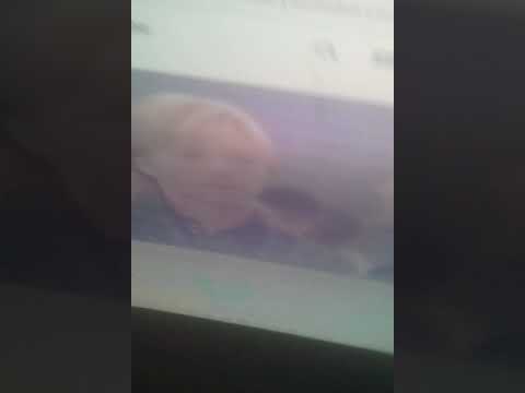 WALKER DE RANGER TEXAS HLOAS NUADE LASDENU RLOASC JUALO VIDEOS BUKEB EN DEZXAS VSSALO ÑUANDE TOU