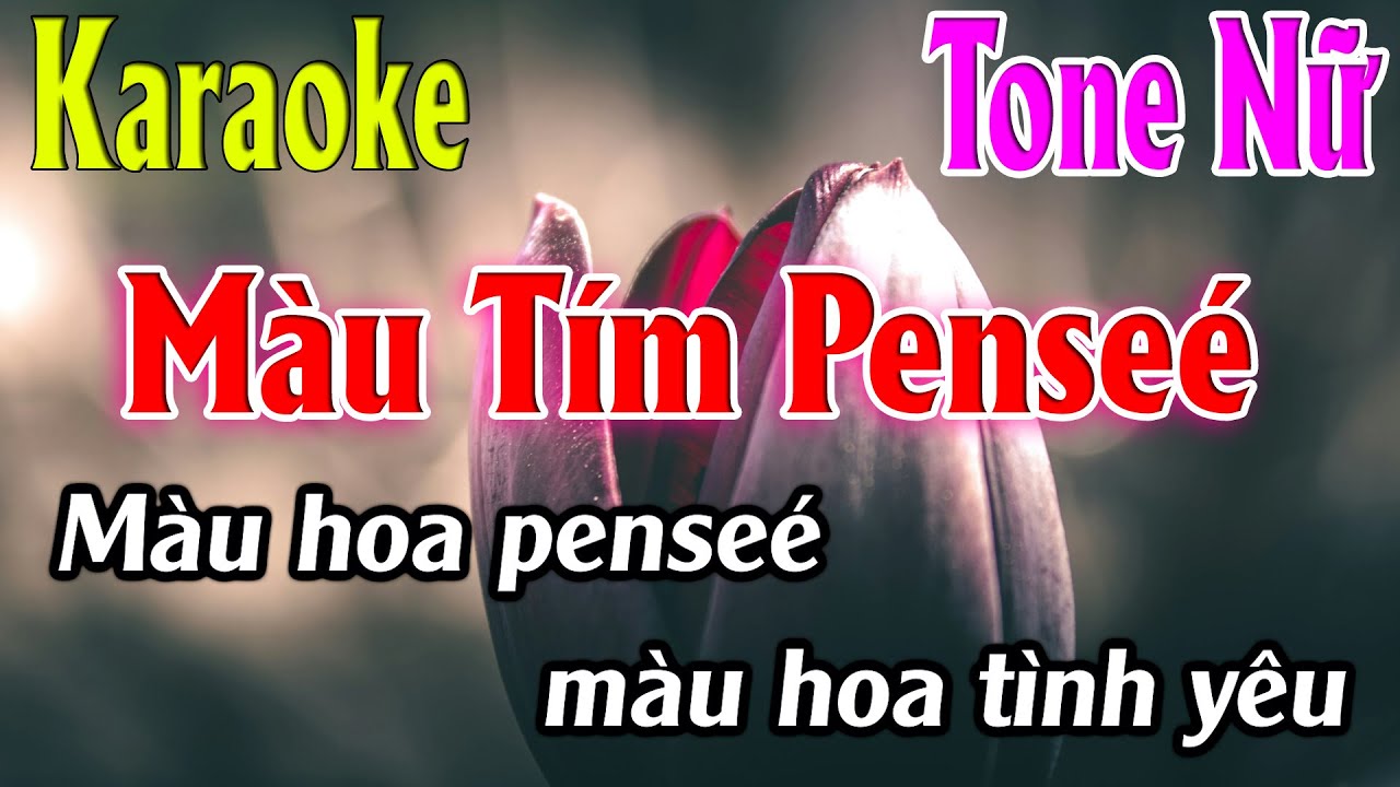 Màu Tím Penseé Karaoke Tone Nữ ( F#m ) Karaoke Lâm Organ - YouTube