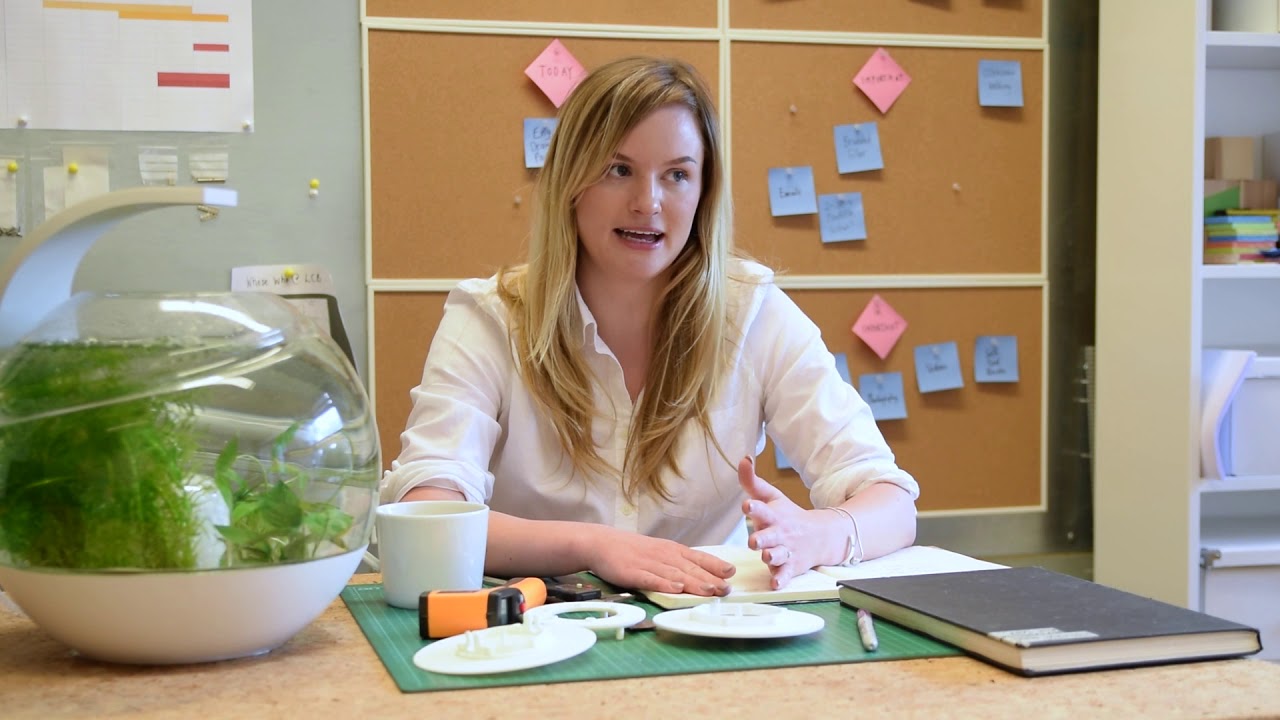 Neesh Designs Behind the scenes fish tank video - YouTube