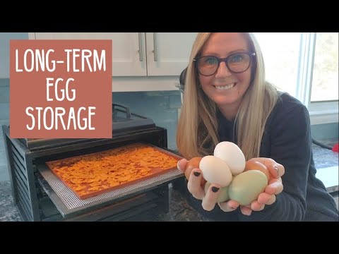 How to Dehydrate Eggs | Food Storage | Rehydrated Egg Tasting - YouTube