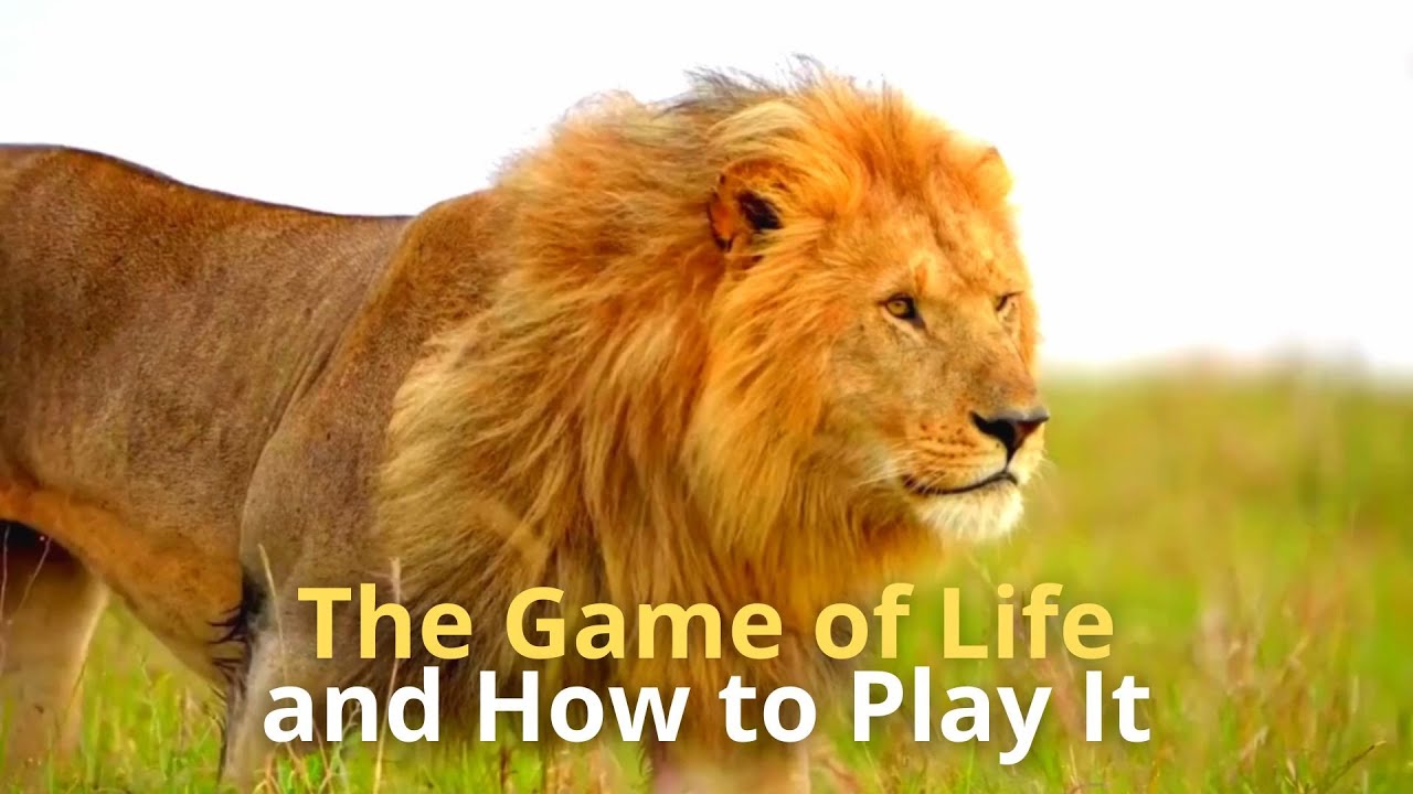 The Game of Life and How to Play It - YouTube