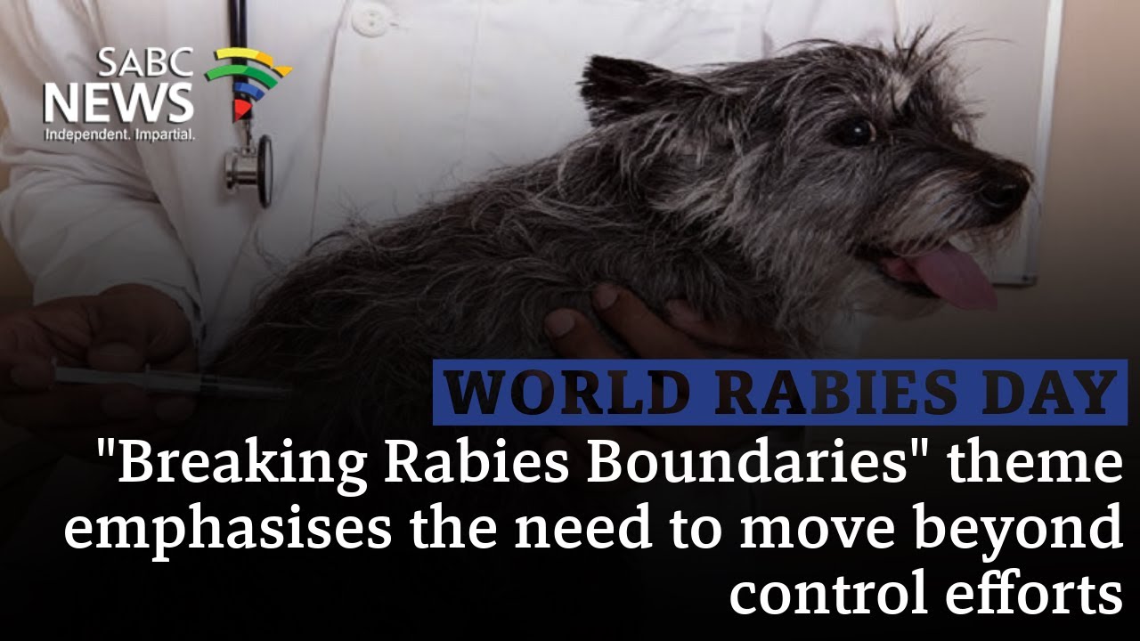 World Rabies Day | "Breaking Rabies Boundaries" theme emphasises need ...