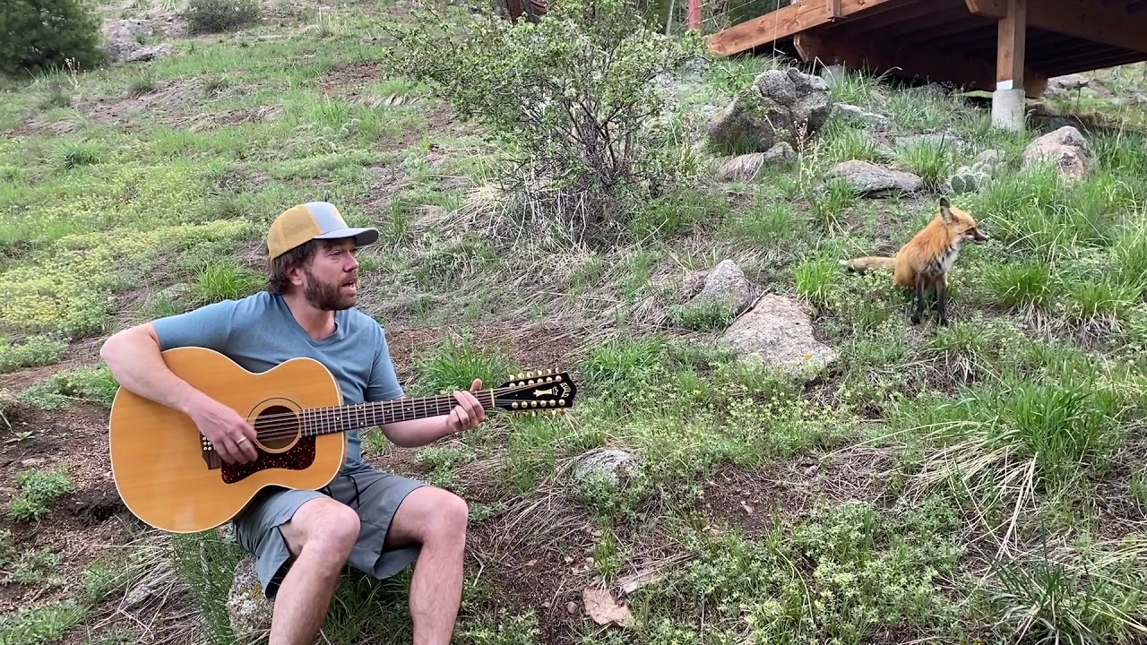 Andy Thorn sings Fox on The Run to a wild fox - YouTube