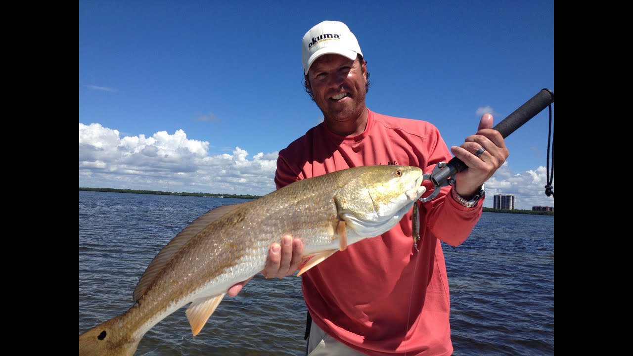 Florida Adventure Quest with the LIVETARGET Scaled Sardine and schools ...
