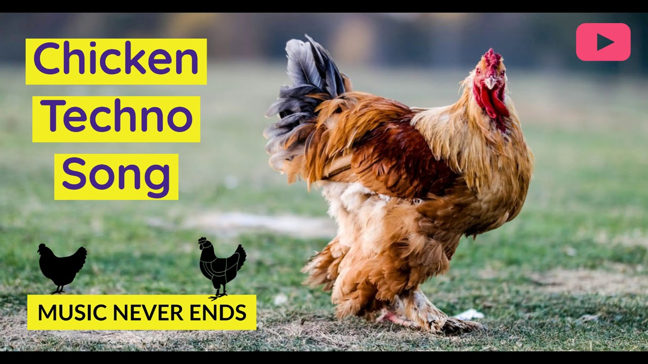 Chicken Dance Song (Techno-Song l Tempo Music Non Copyrighted - YouTube