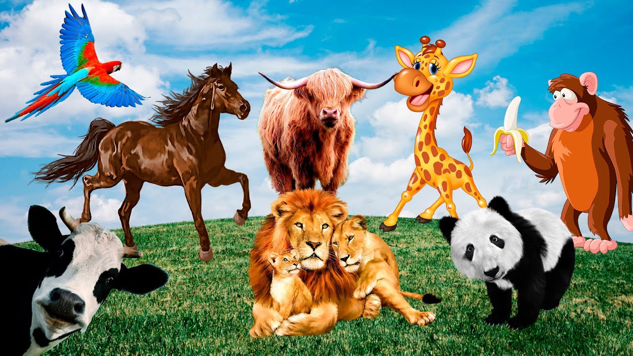 Beautiful moments with animals - cute animal video sound - YouTube