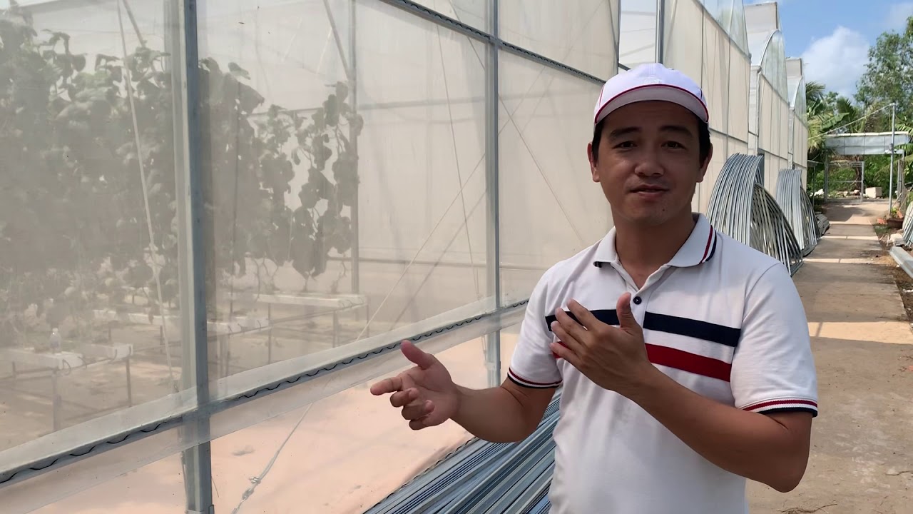 start up với NNCNC - Dưa lưới trồng NFT - YouTube