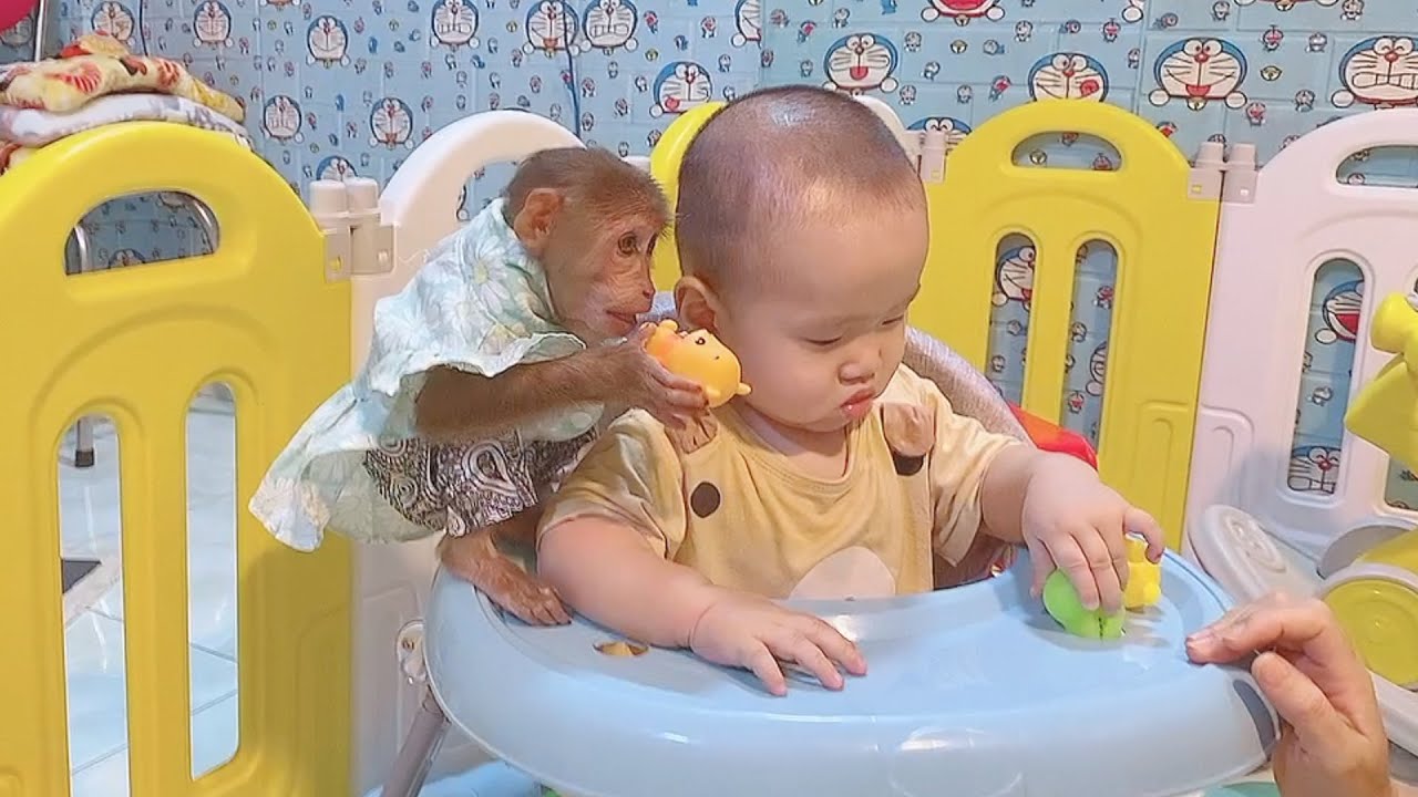 Molly the Monkey is so adorable playing with baby Minh so cute - YouTube