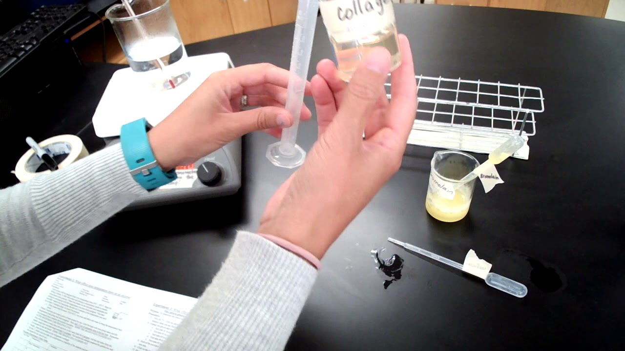 Enzyme Lab: Experiment 2 - YouTube