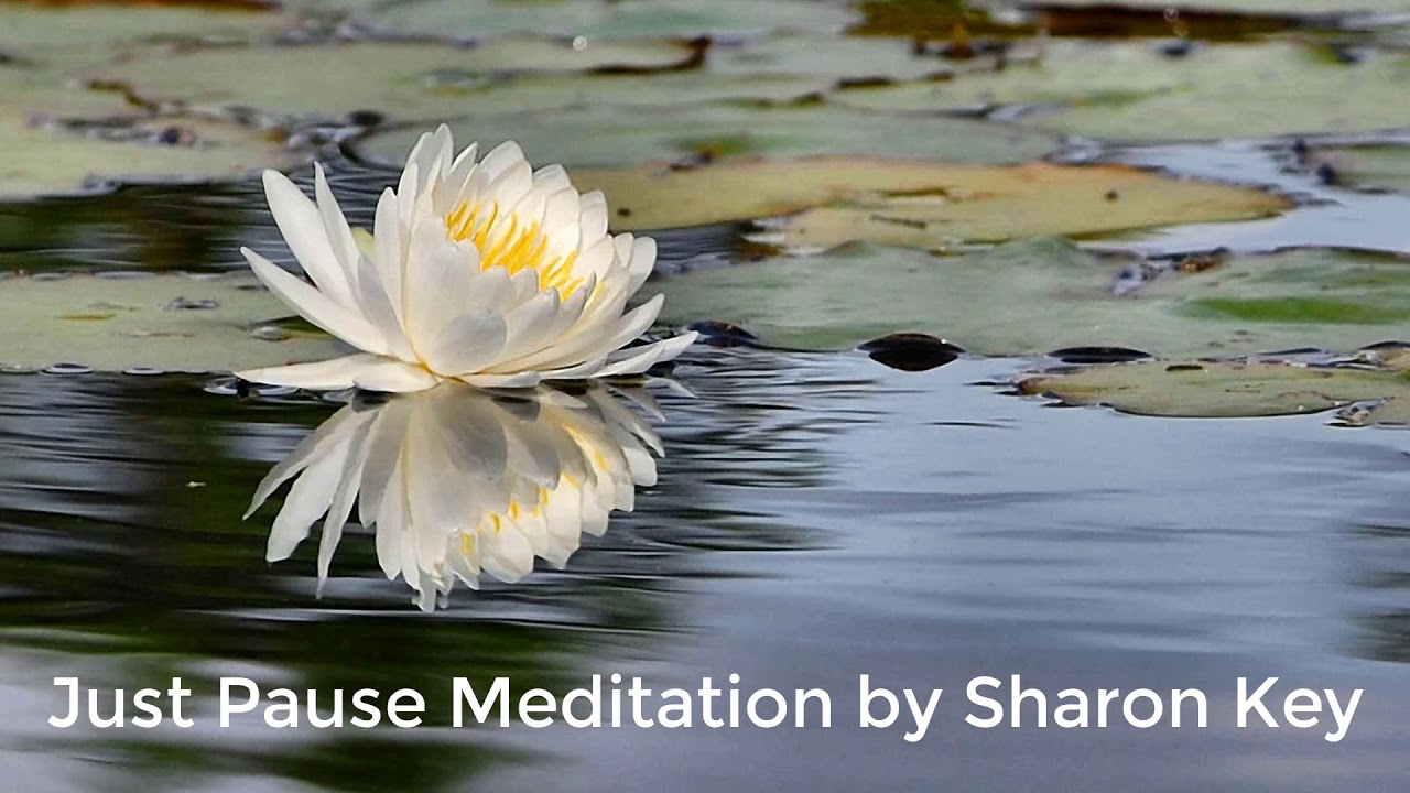 Just Pause Meditation - YouTube