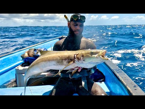 Spearfishing Trinidad's Deep Offshore reefs | Cobia Catch Clean Cook ...