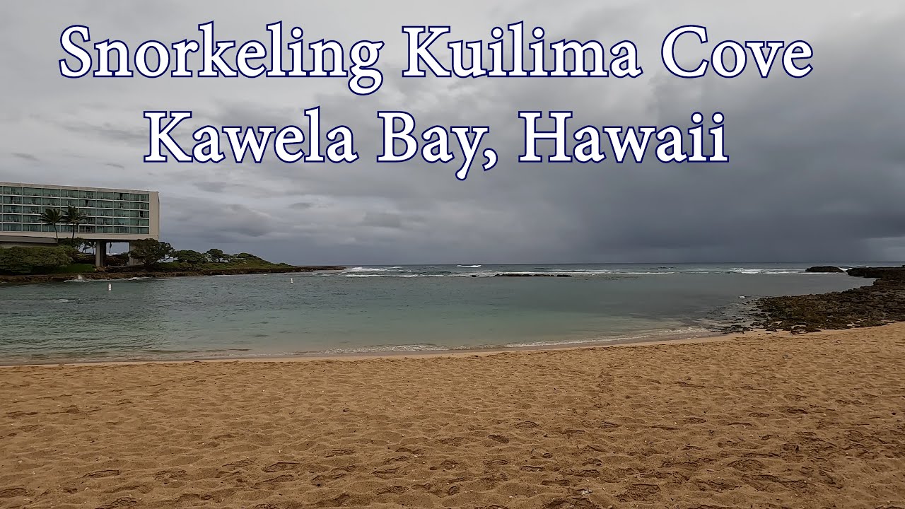 Kuilima Cove Turtle Bay Snorkeling Hawaii - YouTube
