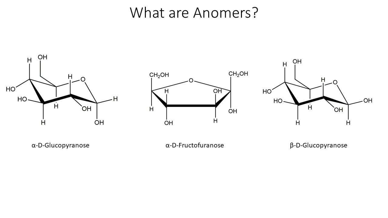 What are Anomers? - YouTube
