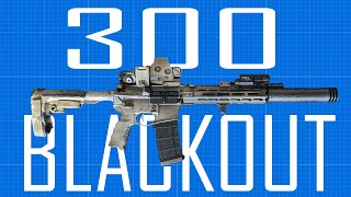 300 Blackout as a fighting rifle > AR Variants > AR15.COM