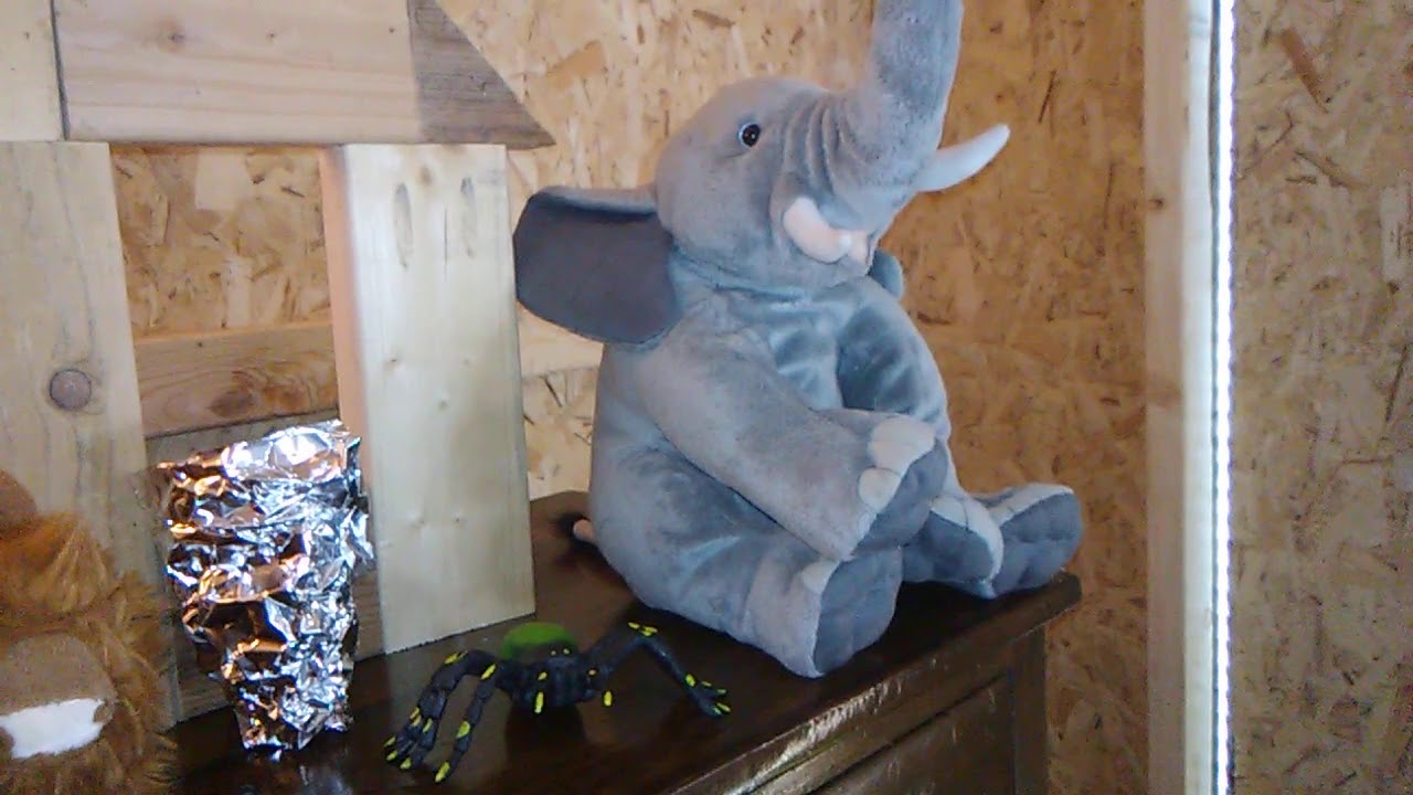 Snickers the Spider and Alphabet Friends talk about Magical Events and ...