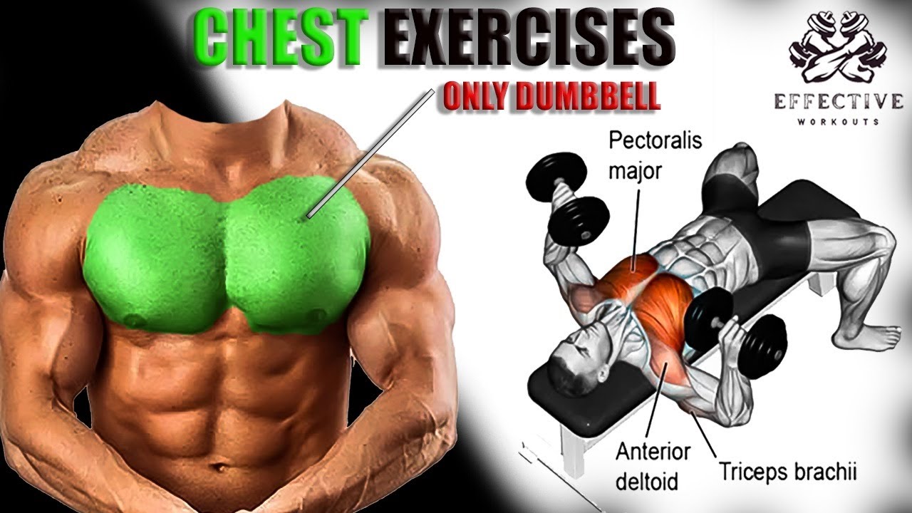 Chest Exercises For Big Chest Only With Dumbbells - CHEST WORKOUTS ...