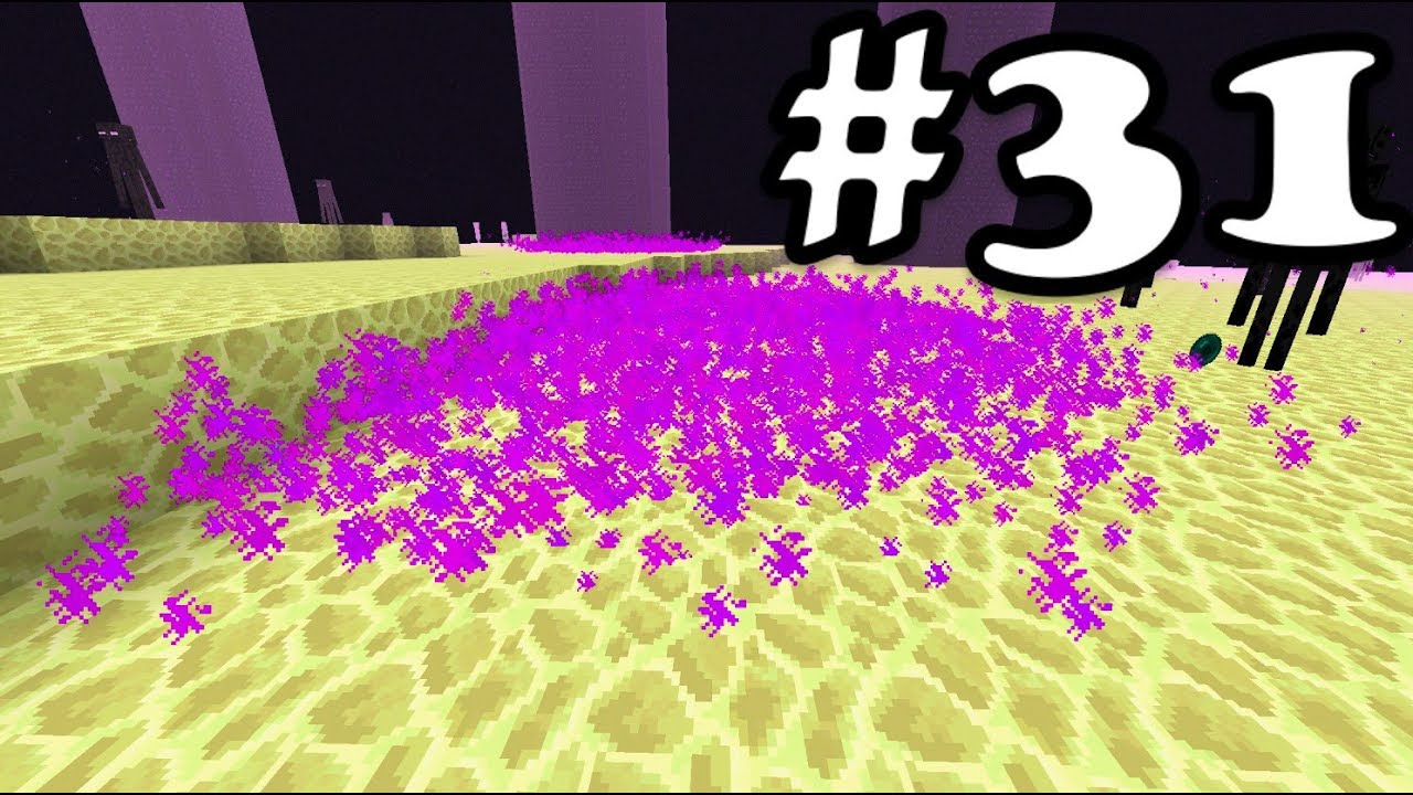 ⛏️ ตอนที่ 31 ไม่เจอ End ship เลย - มายคราฟเอาชีวิตรอดซีซั่น 2 [1.12.2 ...