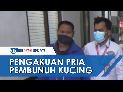 Pengakuan Pria yang Penggal Kepala Kucing untuk Dimakan, Konsumsi Dagingnya sejak 1991 Lalu