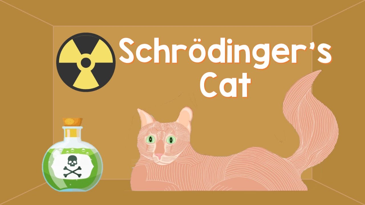 What Happened to the Schrödinger’s Cat? | Animation - YouTube