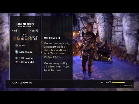 ESO- Sorcerer Healer Build - YouTube