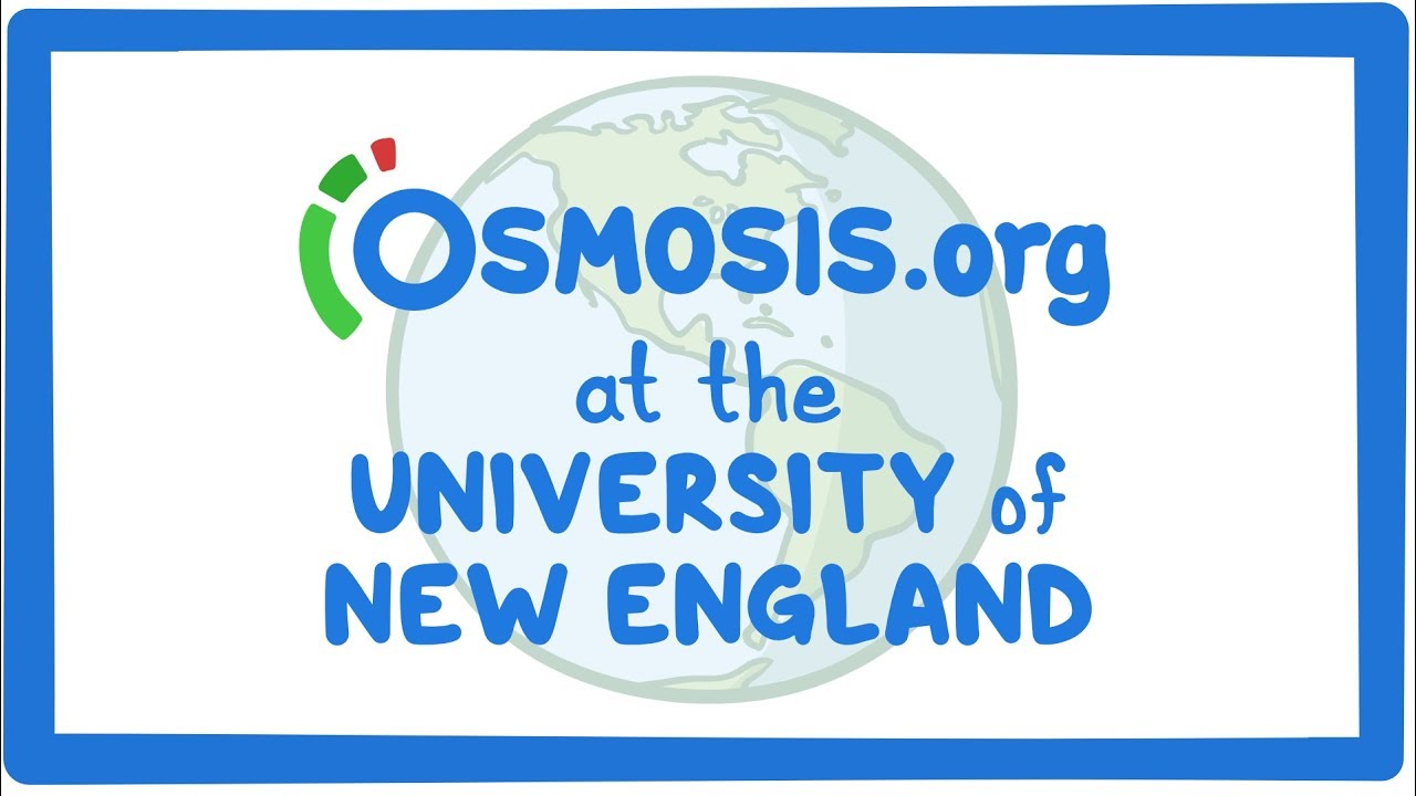 Osmosis.org at the University of New England - YouTube