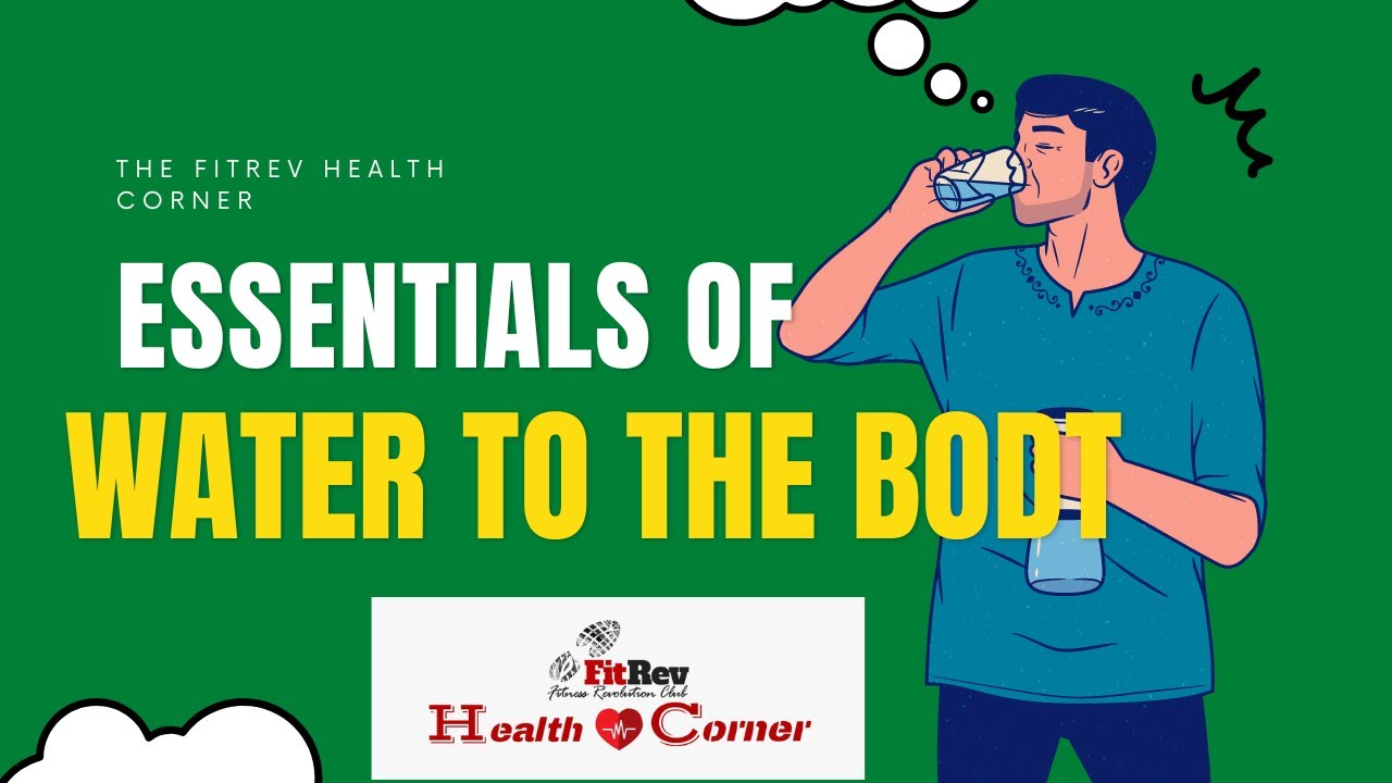 Essentials Of Water To The Body - FitRev - YouTube
