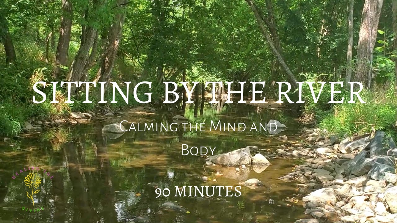 UHD Sitting in Nature River Walk in the Trees 4K - Sounds for Relaxing ...